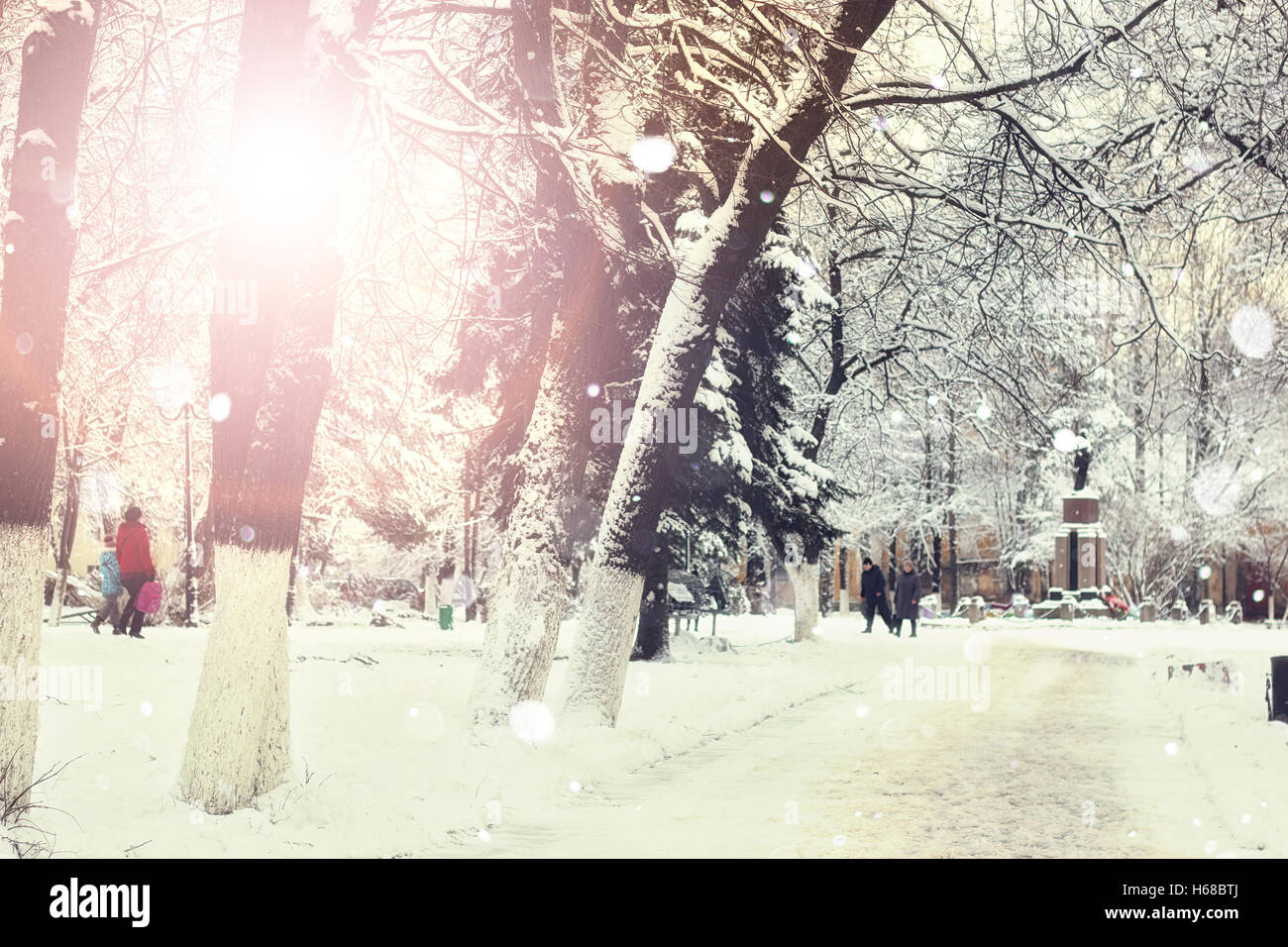 sidewalk winter trees branches Stock Photo - Alamy