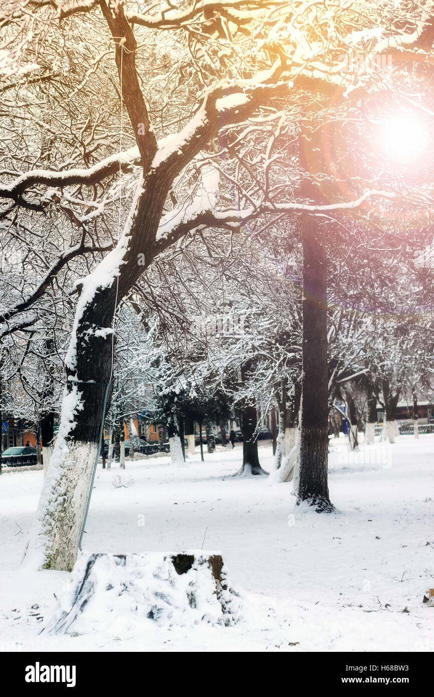 park alley tree way winter Stock Photo - Alamy