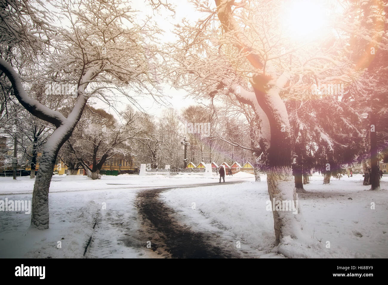 park alley tree way winter Stock Photo - Alamy