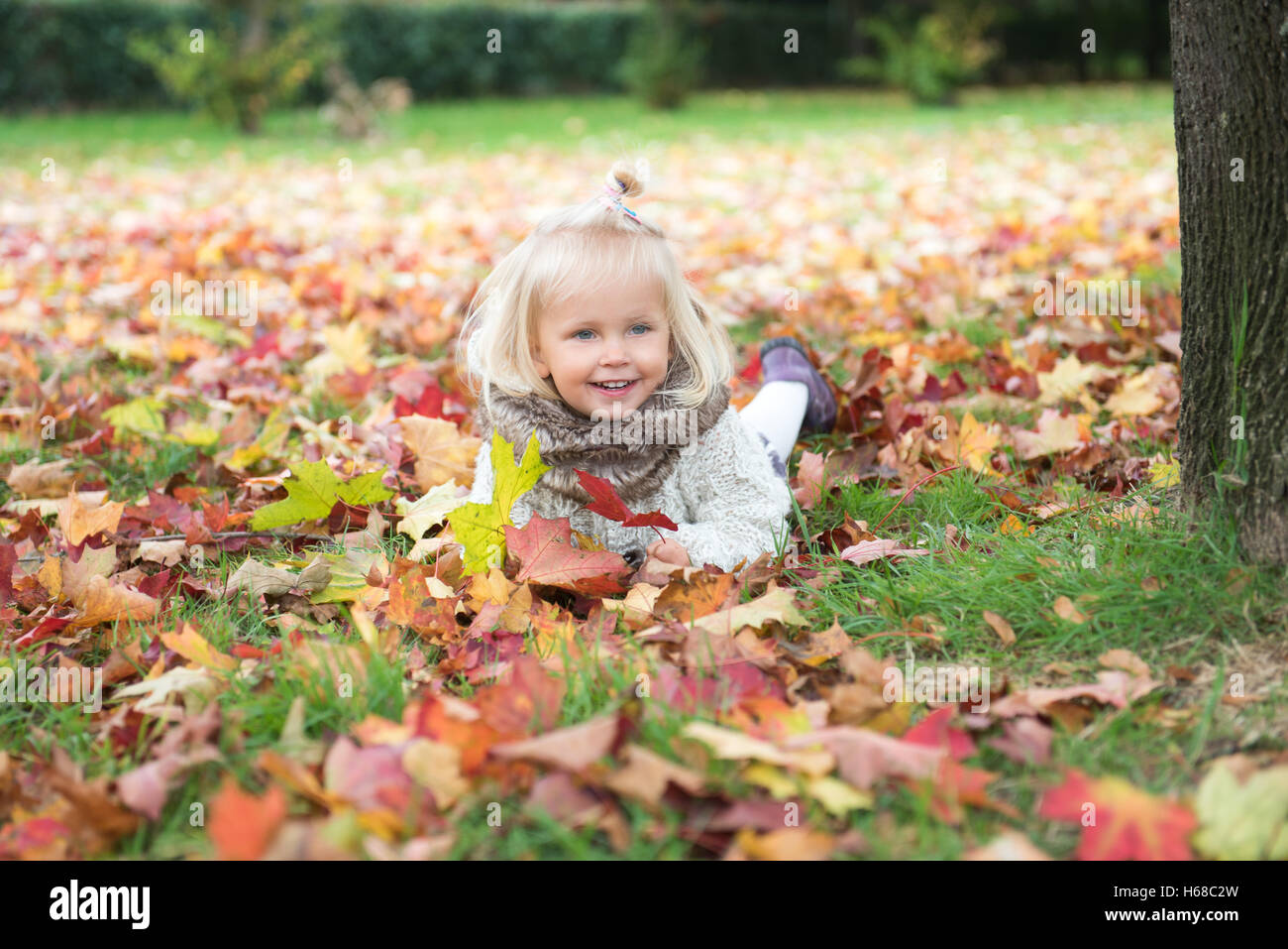 Happy little girl have fun playing with fallen colourful leaves Stock ... Happy little girl have fun playing with fallen colourful leaves Stock ...