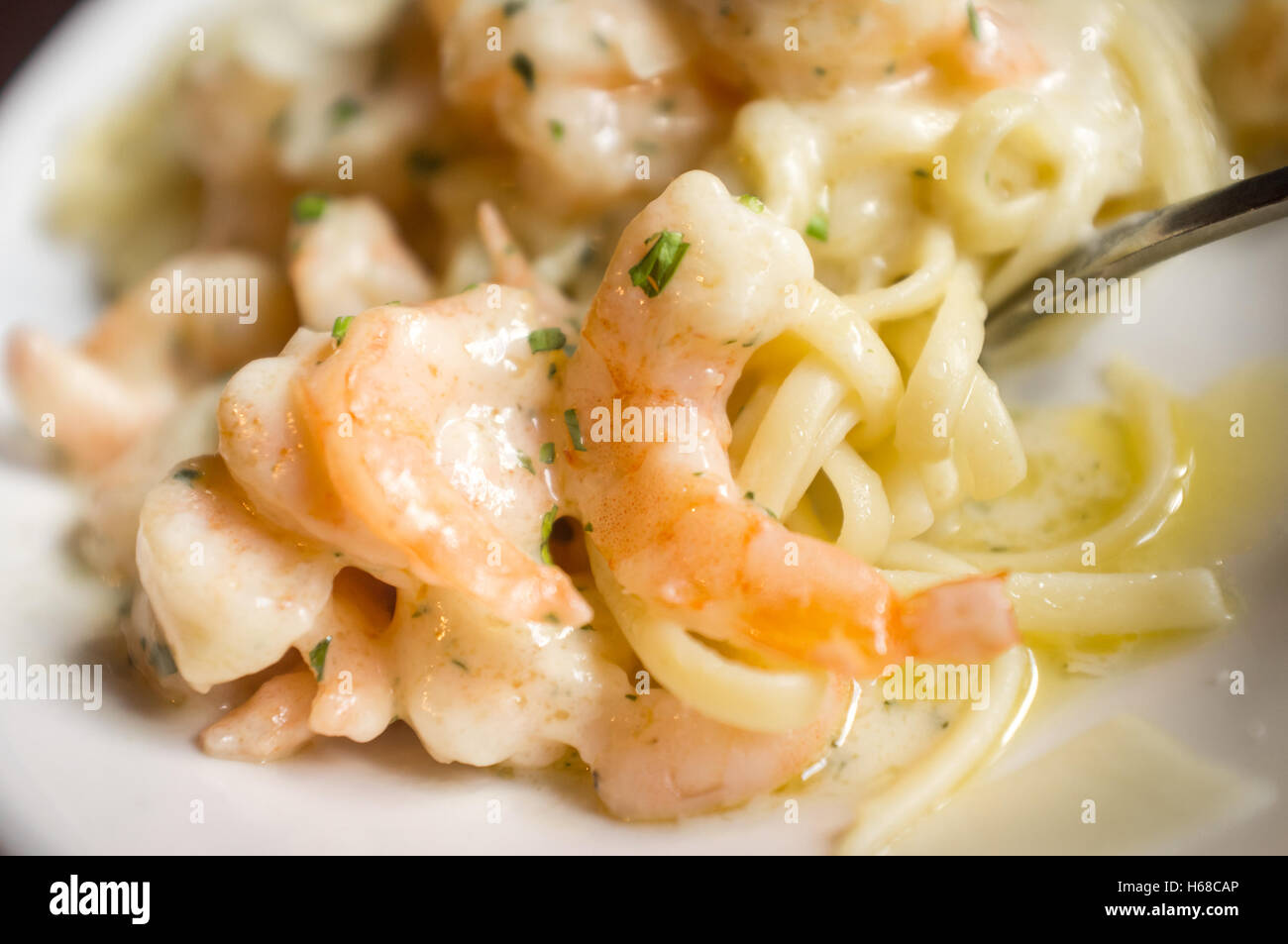Fresh Italian shrimp scampi with shaved parmesan cheese Stock Photo - Alamy