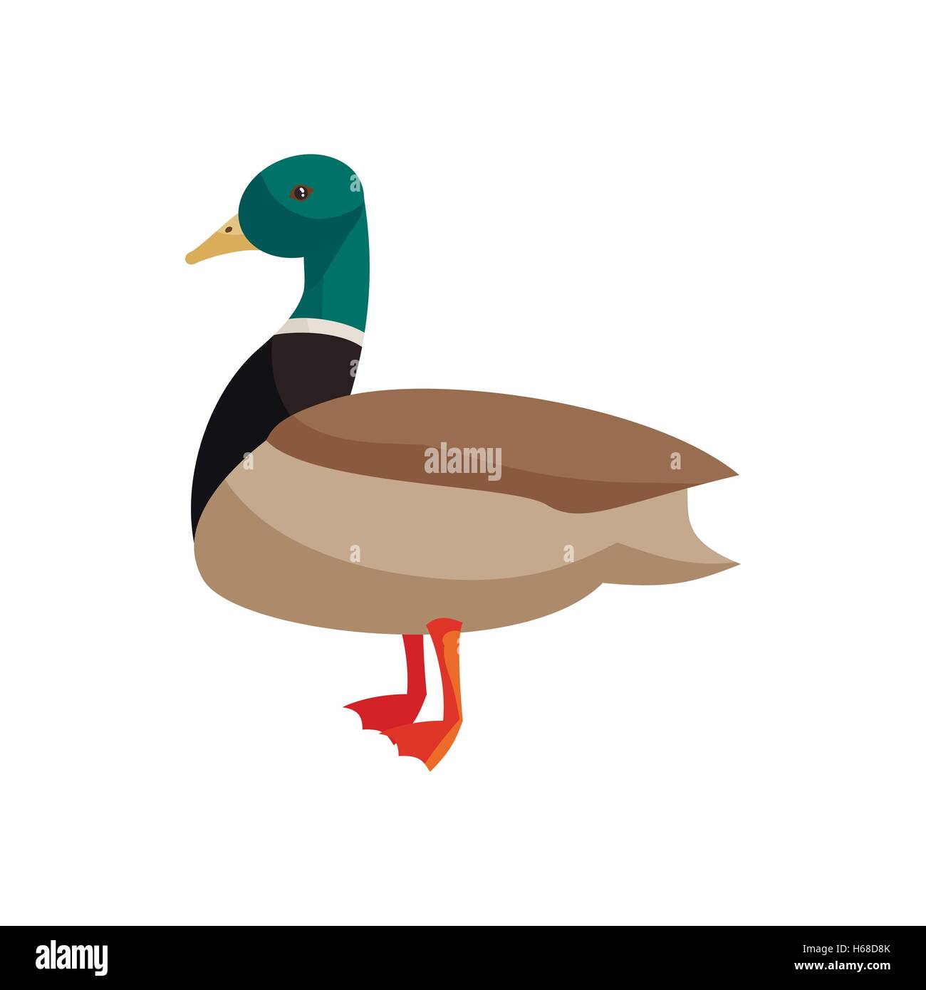 Duck icon, cartoon style Stock Vector Image & Art - Alamy