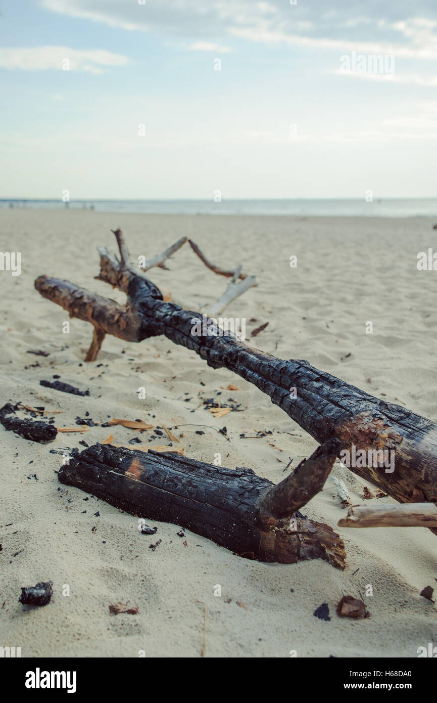 A piece of dry wood lying on the pebbles on the beach Stock Photo - Alamy