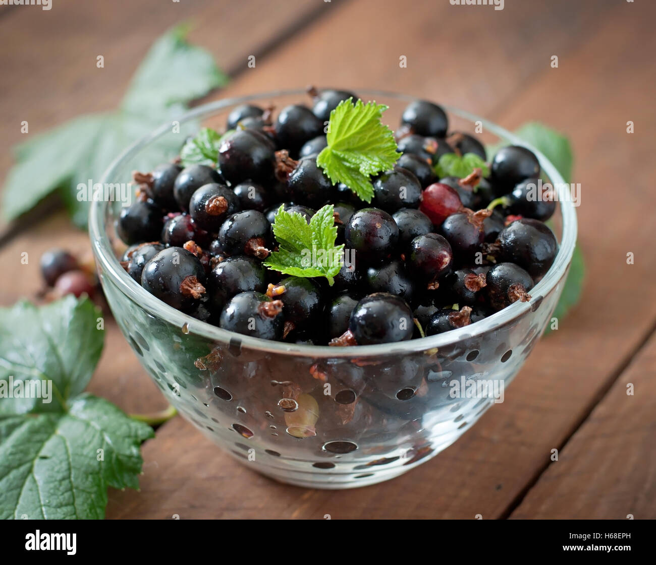 Black currants hi-res stock photography and images - Alamy