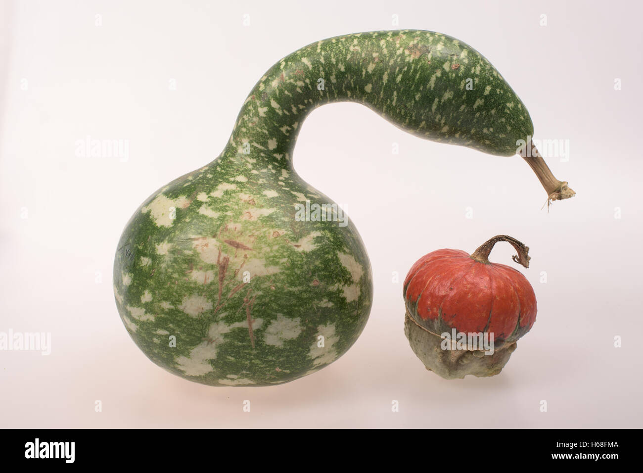 Two different calabashes Stock Photo - Alamy