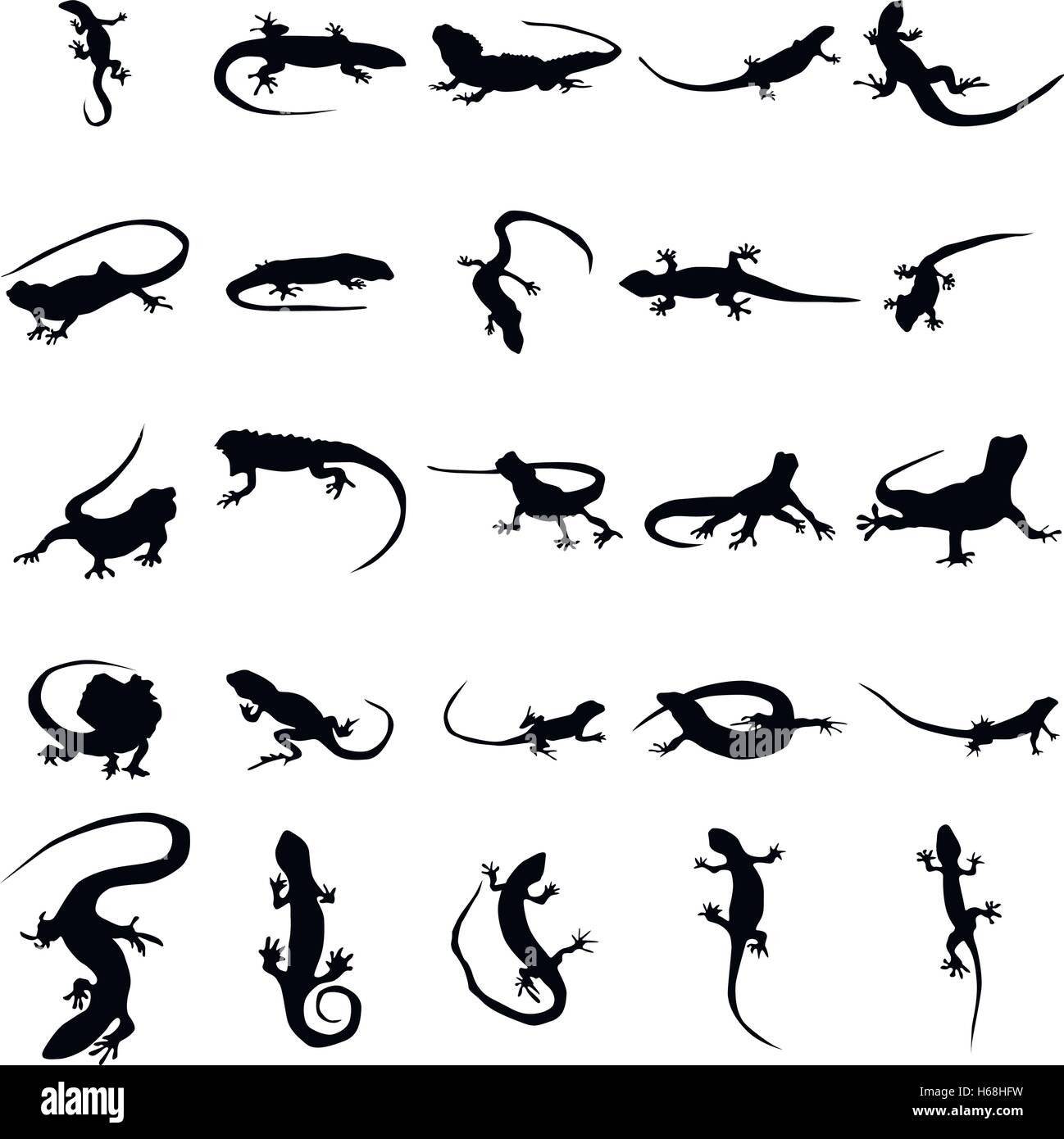 Black gecko clipart hi-res stock photography and images - Alamy