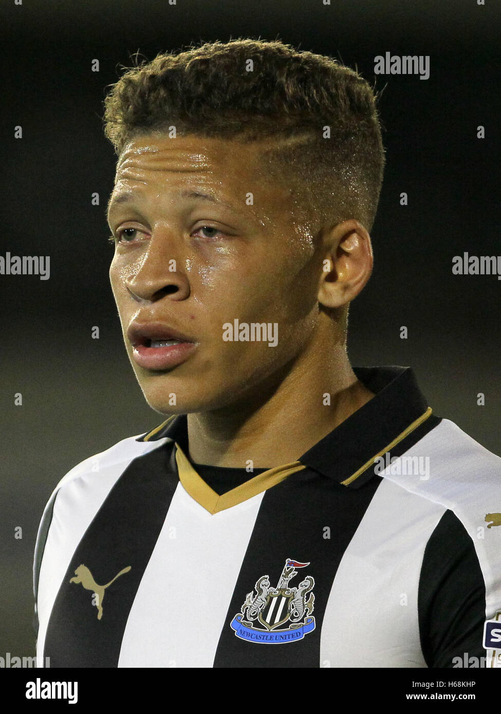 Newcastle United's Dwight Gayle Stock Photo - Alamy