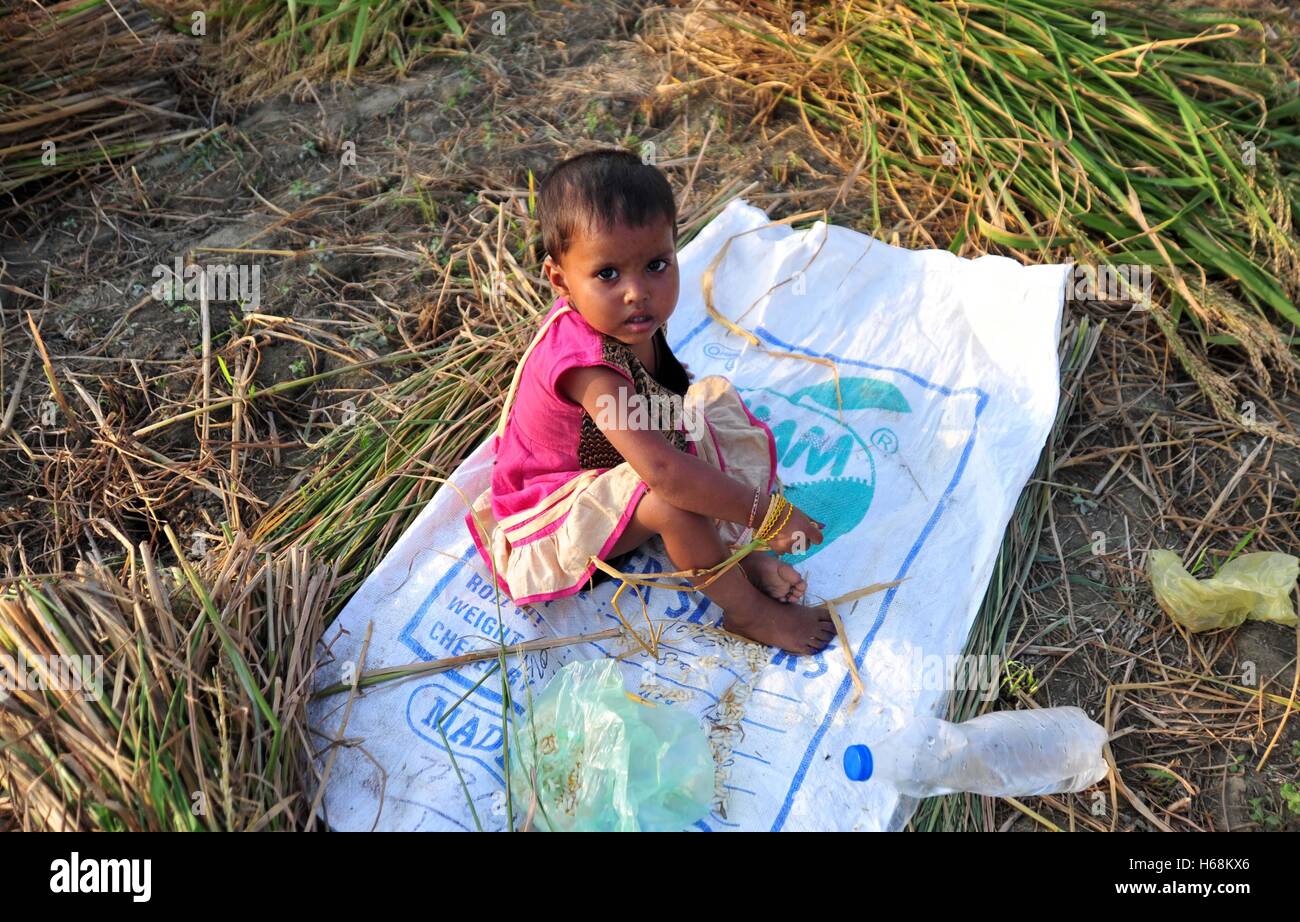 Traditional method of winnowing hi-res stock photography and images - Alamy