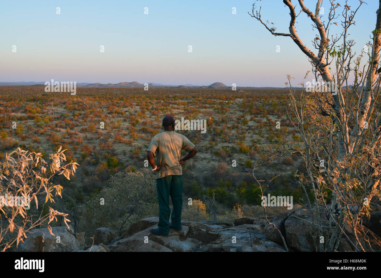 Kopje landscape hi-res stock photography and images - Alamy