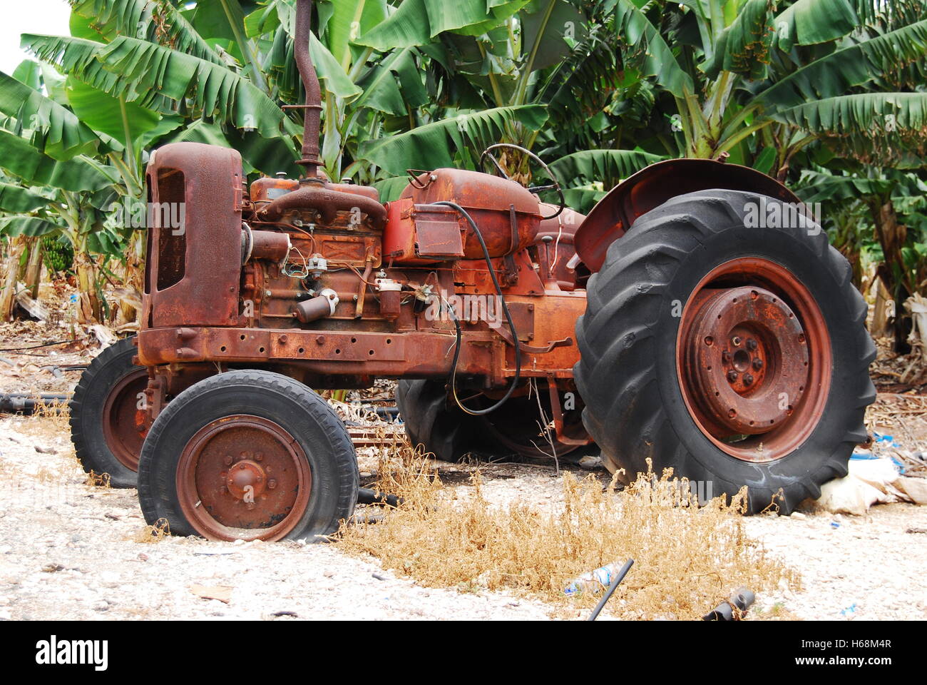 Rusty Old Farm Tractor Stock Photos & Rusty Old Farm Tractor Stock ...