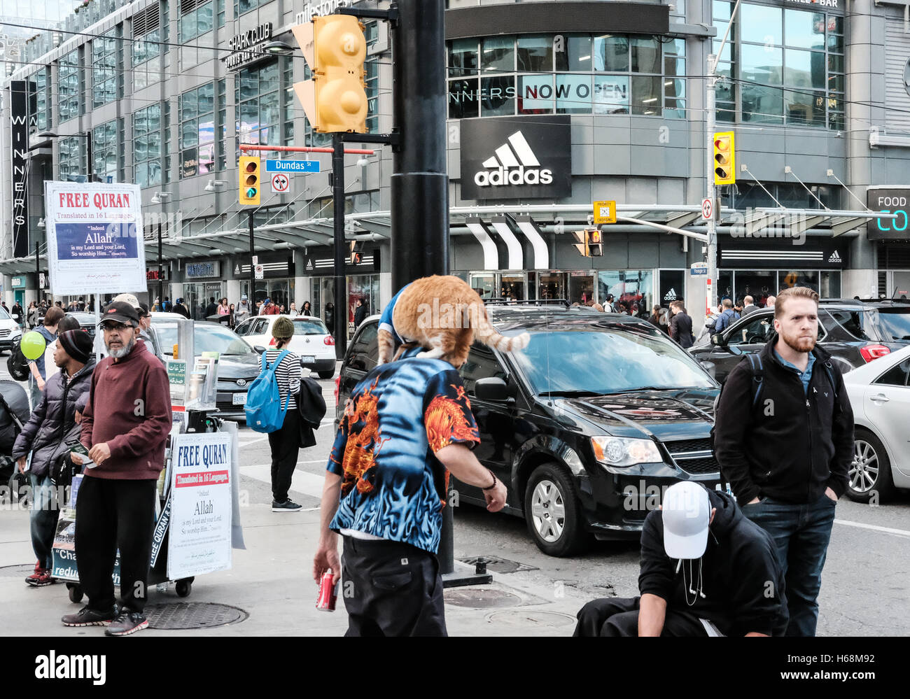 Homeless owner with his ginger cat, seen on his shoulder, looking to ...