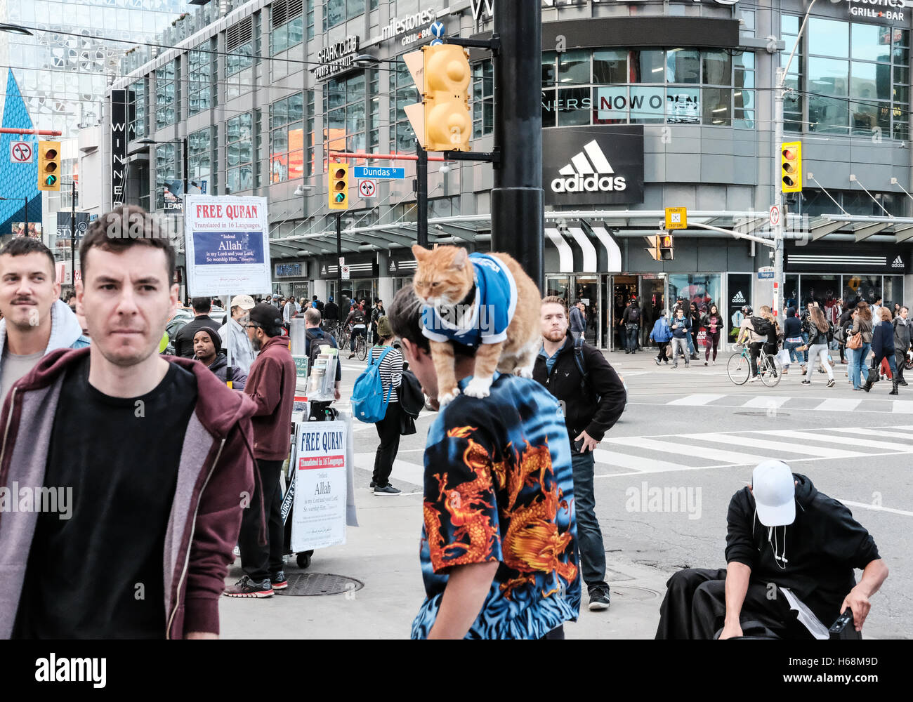 Homeless owner with his ginger cat, seen on his shoulder, looking to ...