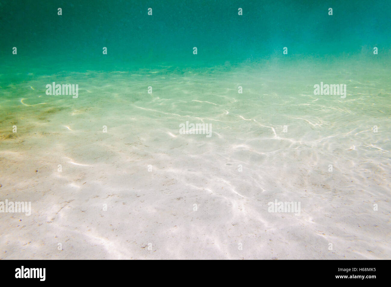 Underwater sand sea floor with turquoise water Stock Photo - Alamy