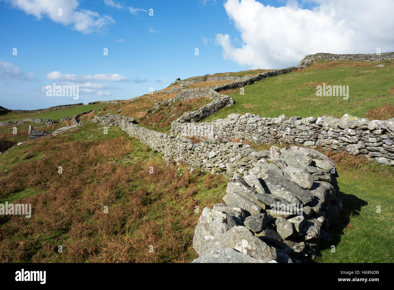 Dry stone walling in North Wales Stock Photo - Alamy