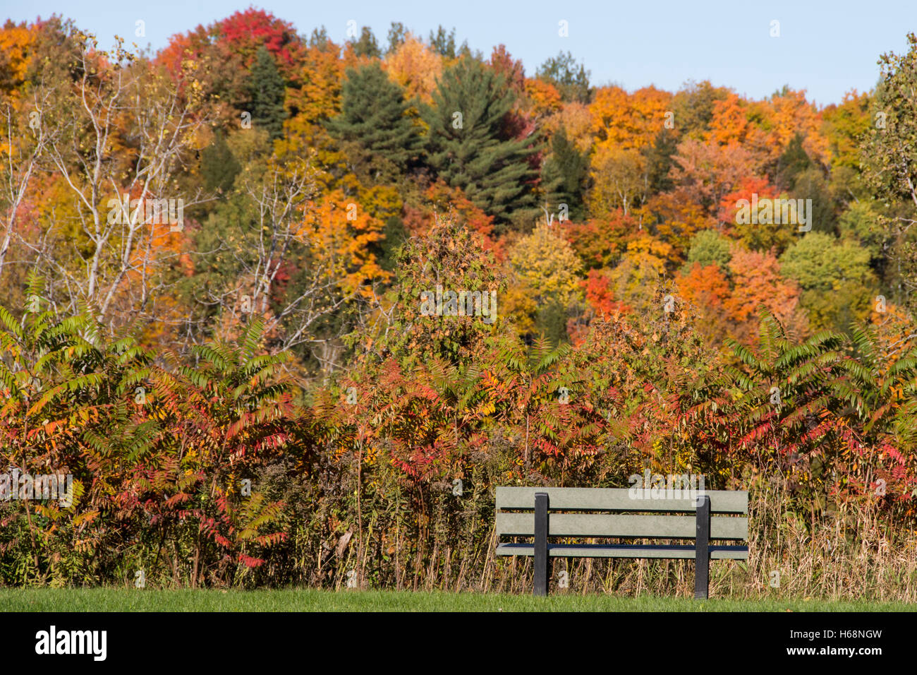 Canada, Quebec, Three Rivers aka Trois-Riveres. Bench with autumn ...
