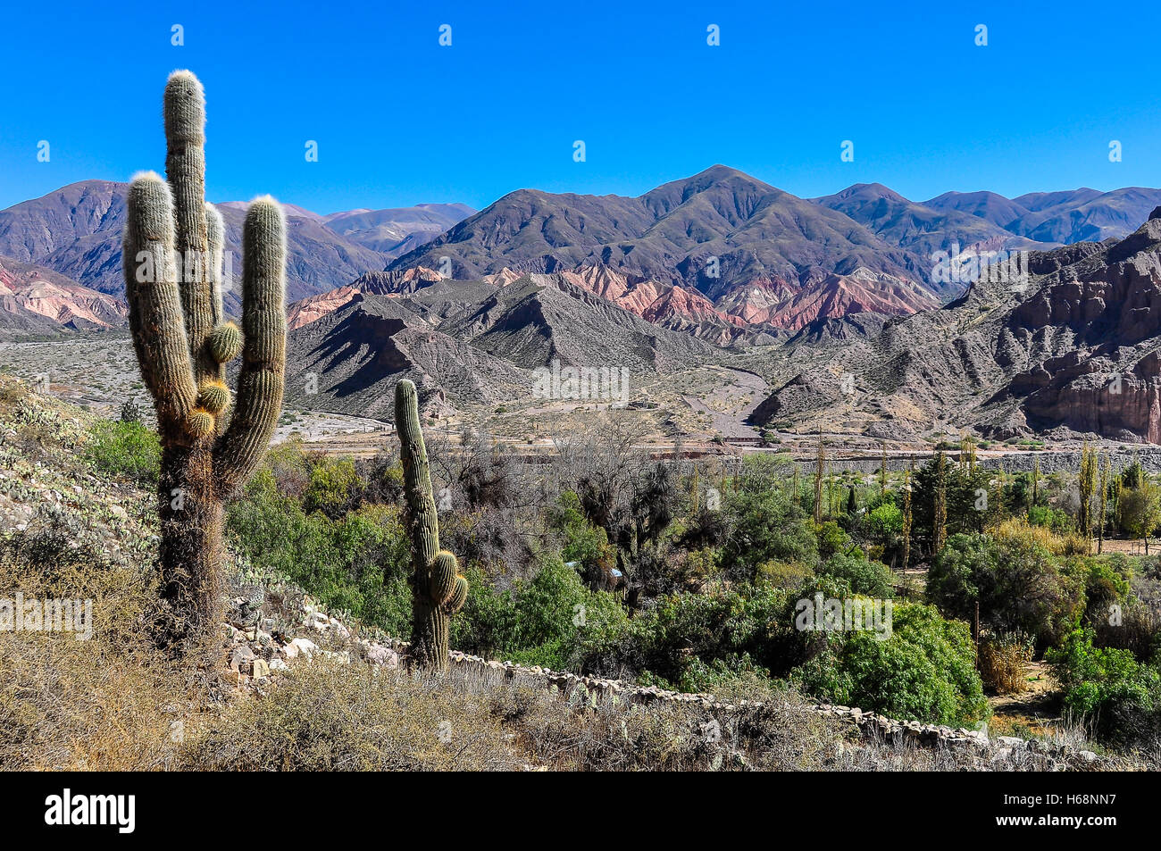 View of the Quebrada de Humahuaca near Tilcara in Argentina Stock Photo ...