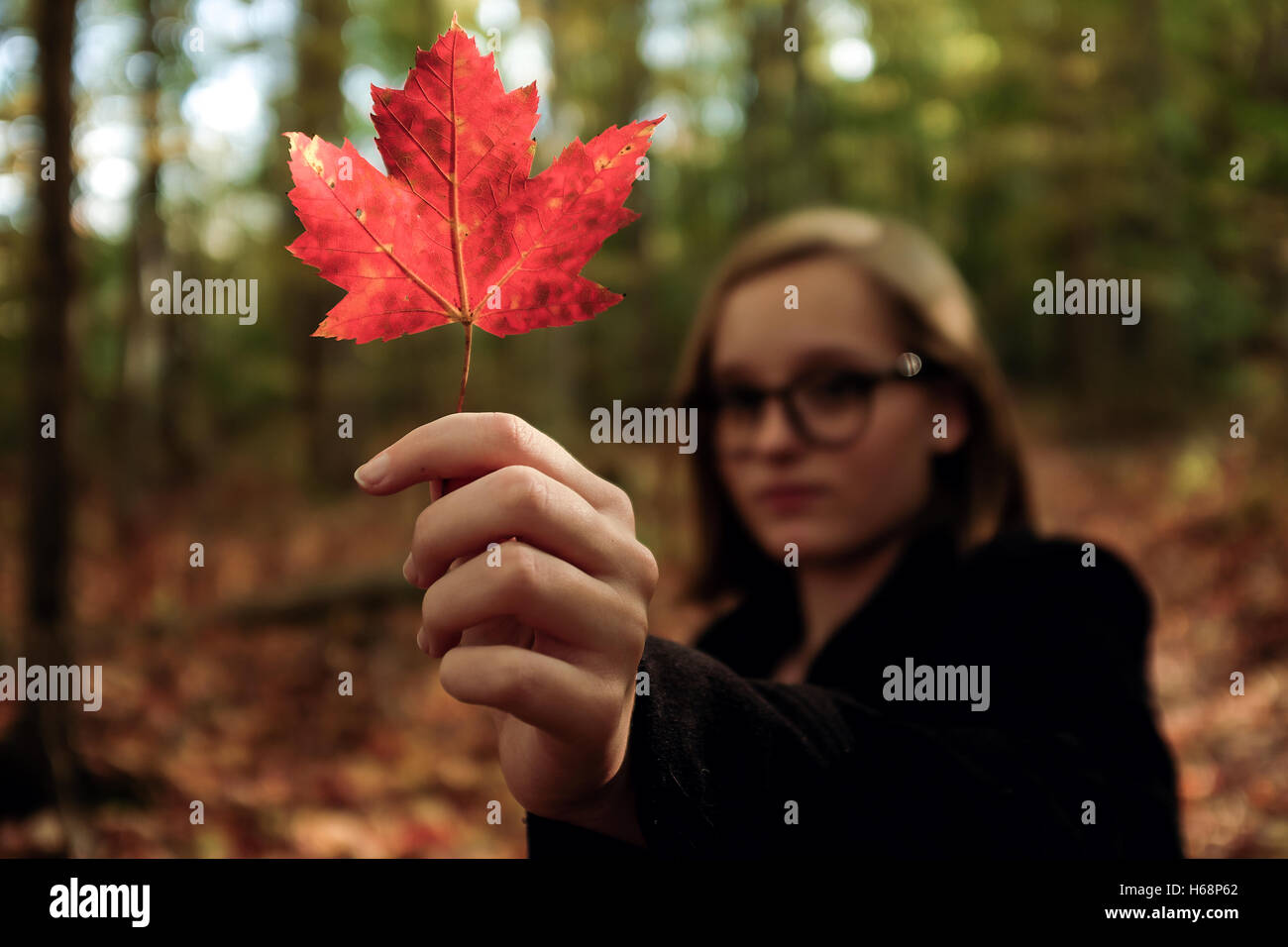 A young woman holds a red maple leaf located inside a wooded area with ...