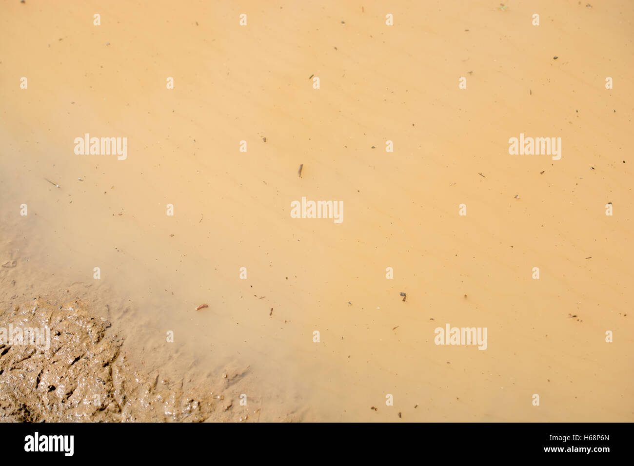 Background of dirty muddy water texture in the pond Stock Photo - Alamy