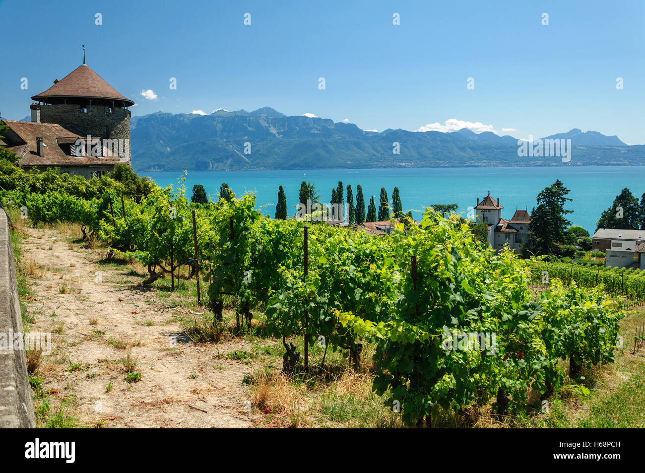 Unesco world heritage site lavaux hi-res stock photography and images ...
