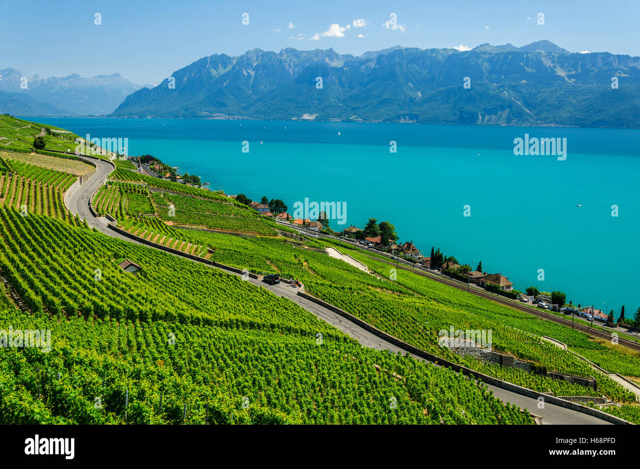 The Lavaux Vineyard Terraces UNESCO World Heritage Site near Lausanne ...