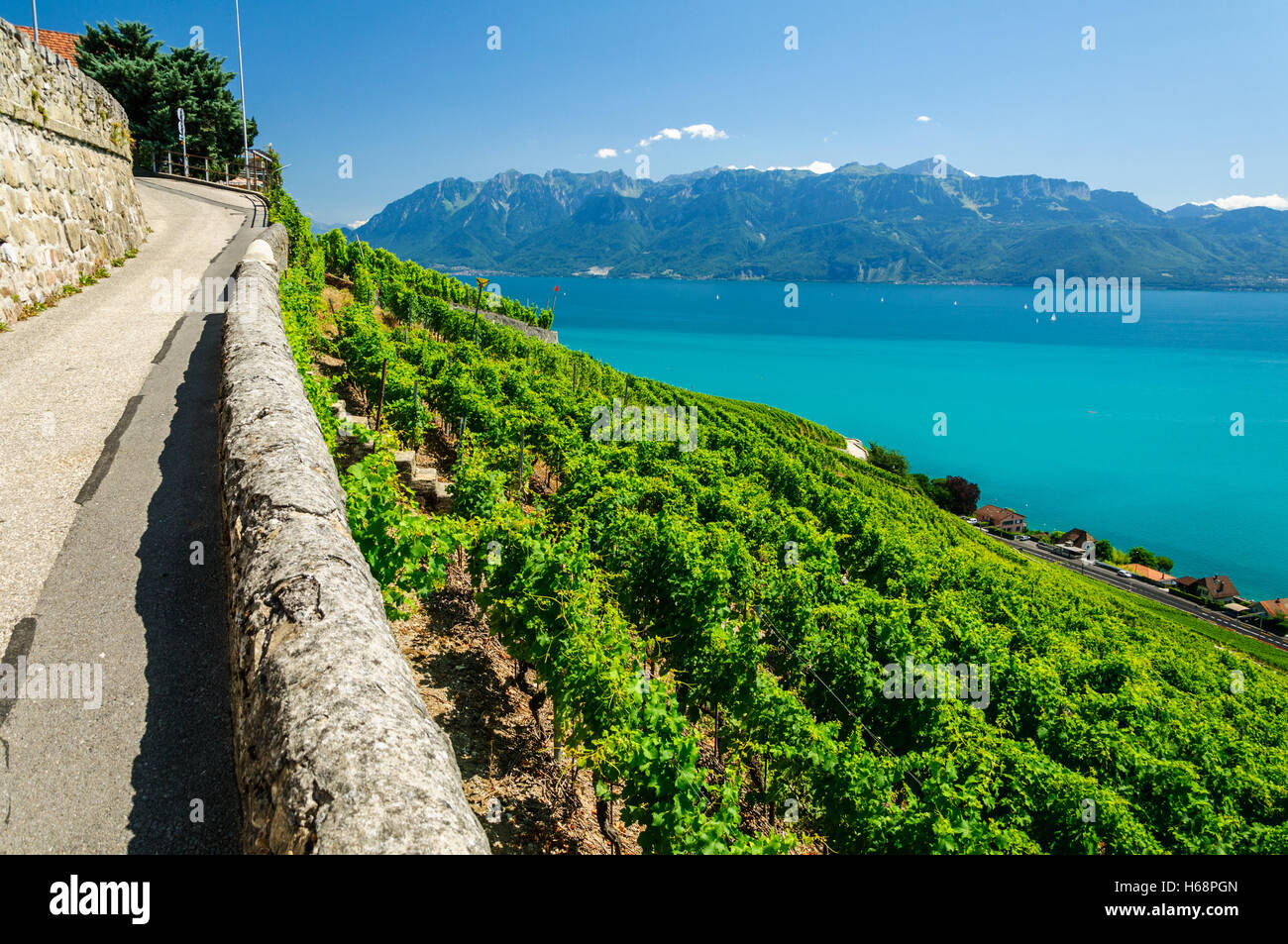 The Lavaux Vineyard Terraces UNESCO World Heritage Site near Lausanne ...