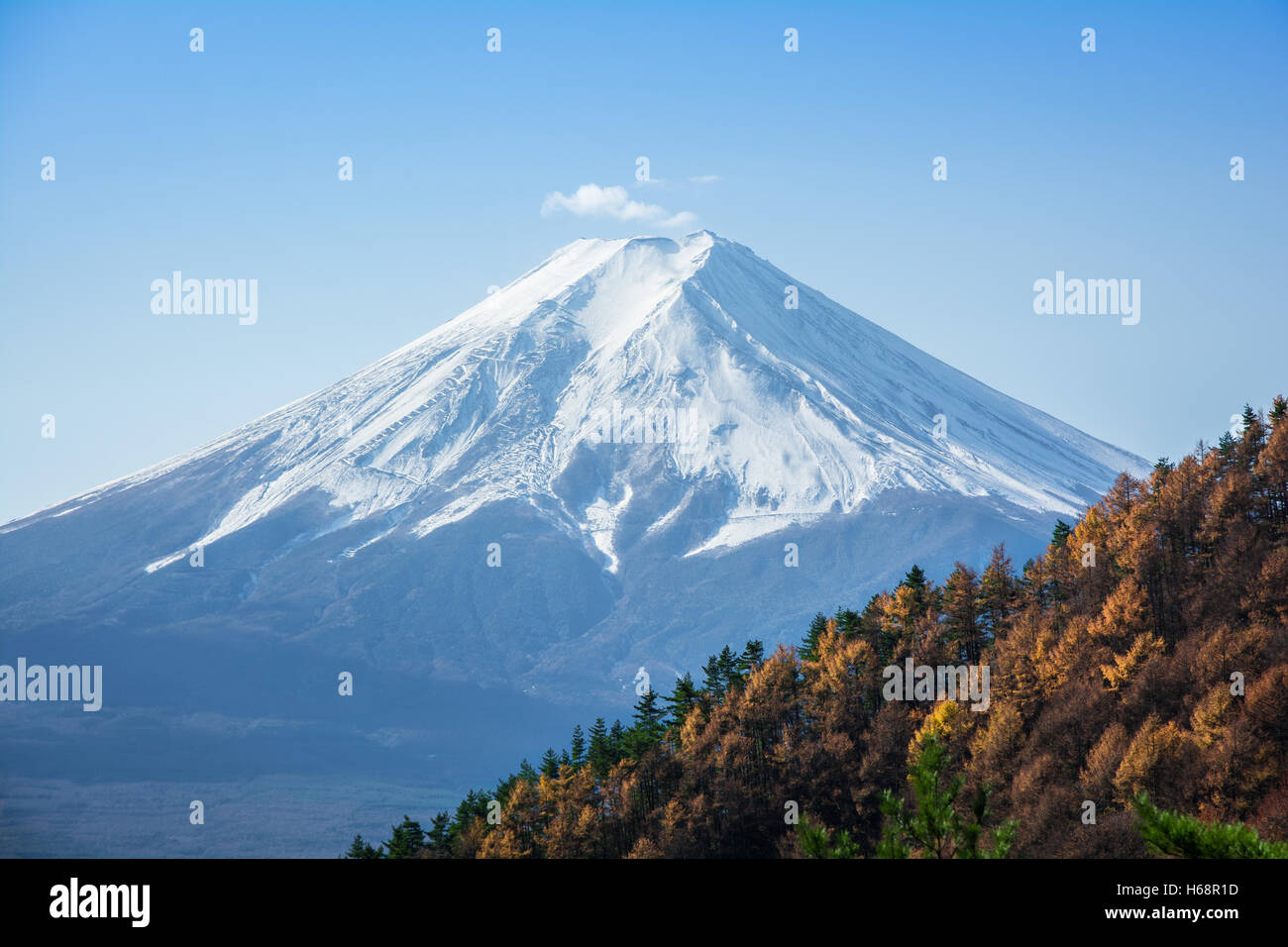 Mount Fuji Autumn Landscape, Fuji, Japan Stock Photo - Alamy