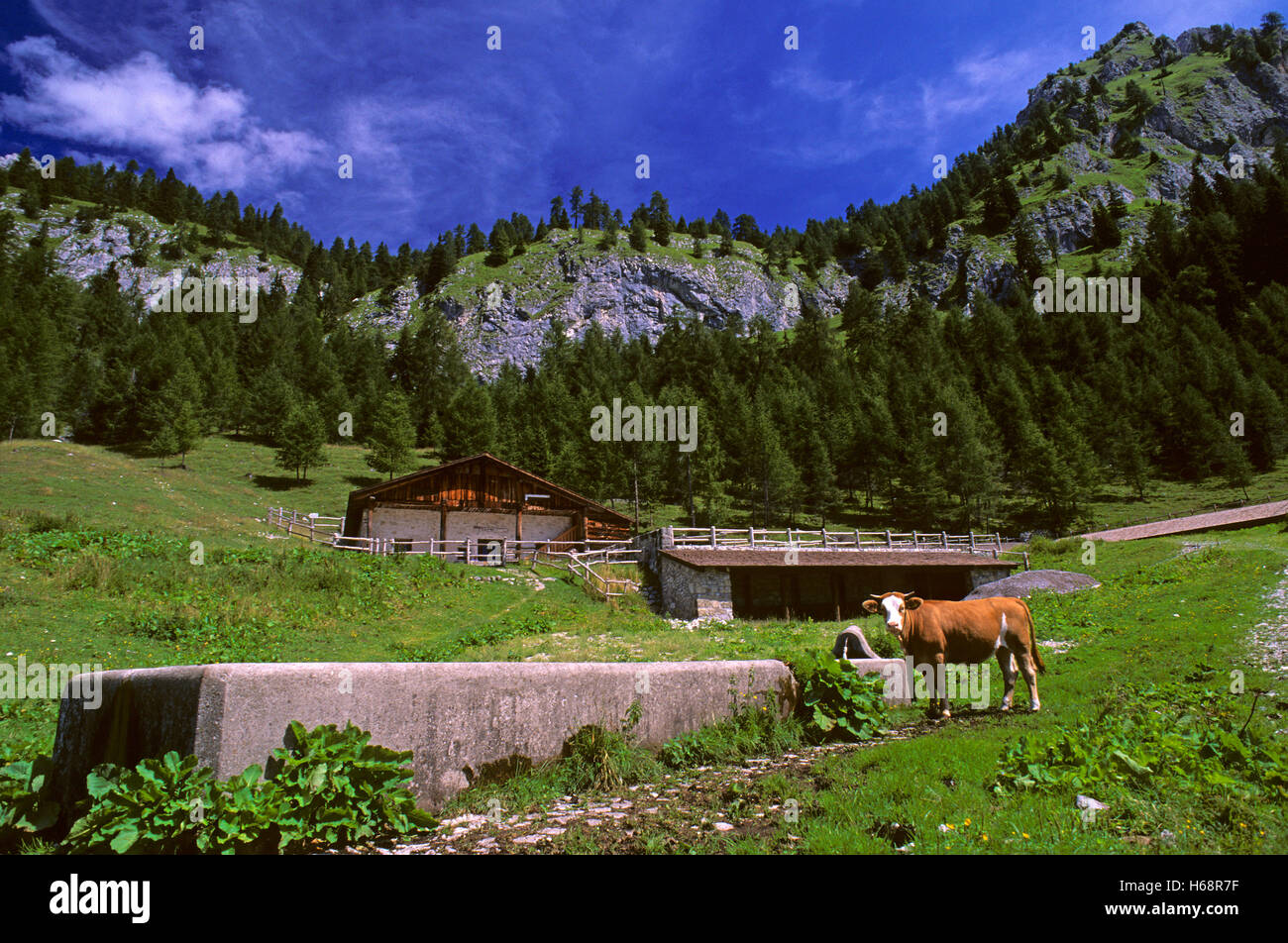 Parco naturale dolomiti friulane hi-res stock photography and images ...