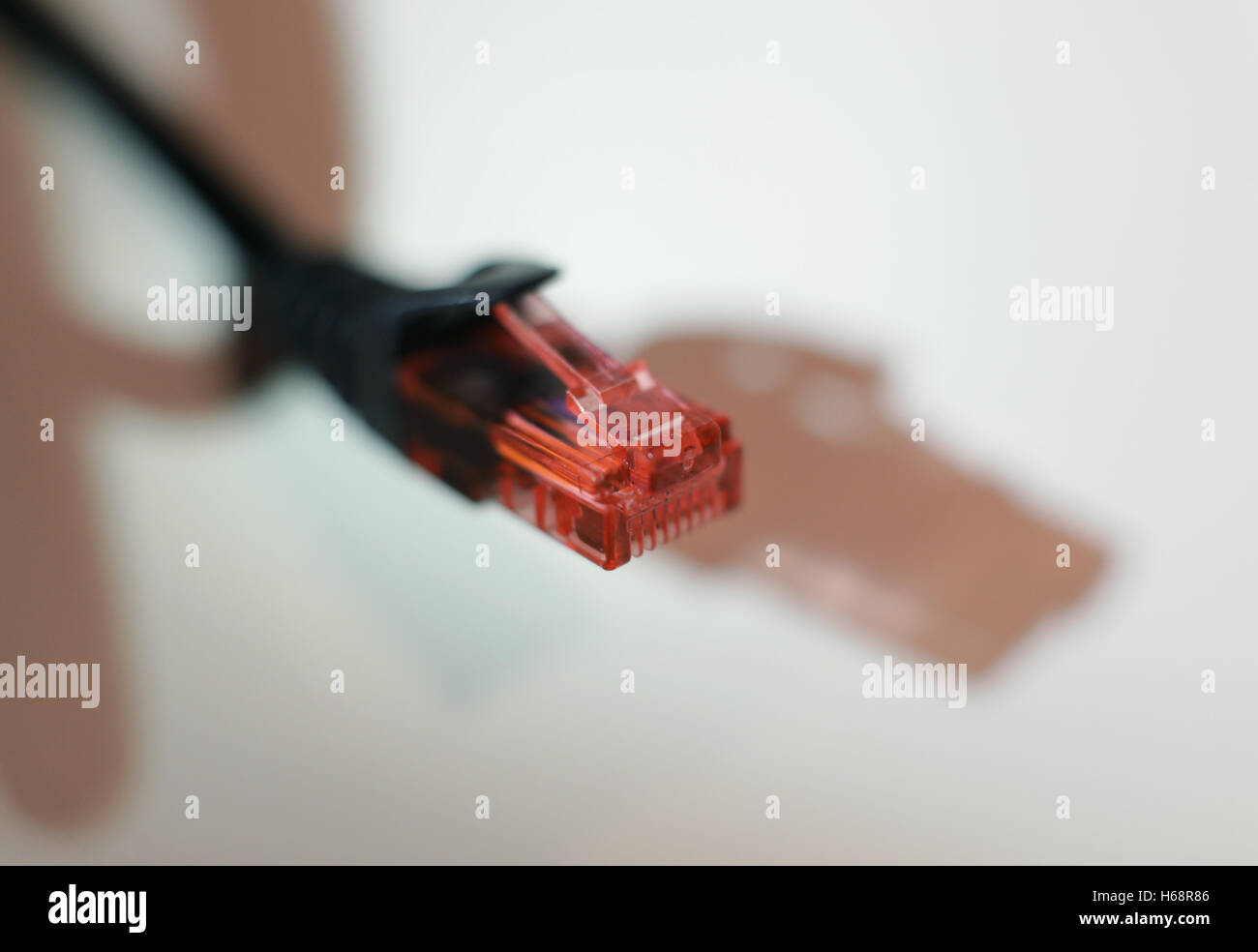The RJ45 plug on the end of an Ethernet cable, London Stock Photo - Alamy
