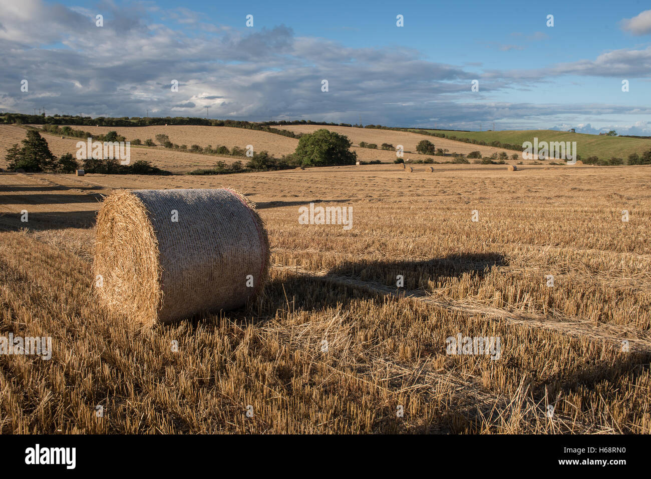 Hay in a roll hi-res stock photography and images - Alamy