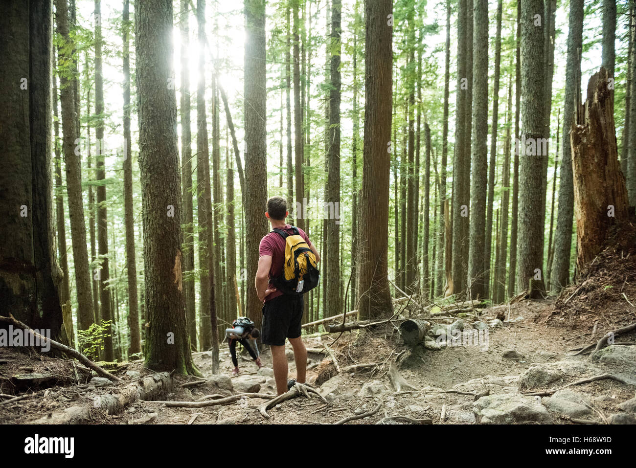 Man standing in countryside forest Stock Photo - Alamy