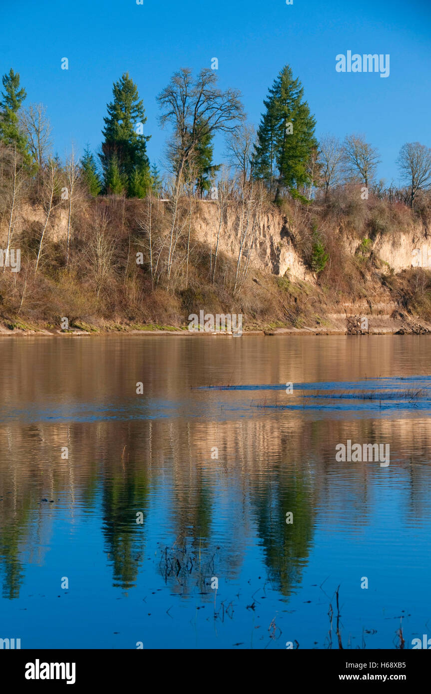 Willamette River, Willamette Mission State Park, Oregon Stock Photo - Alamy
