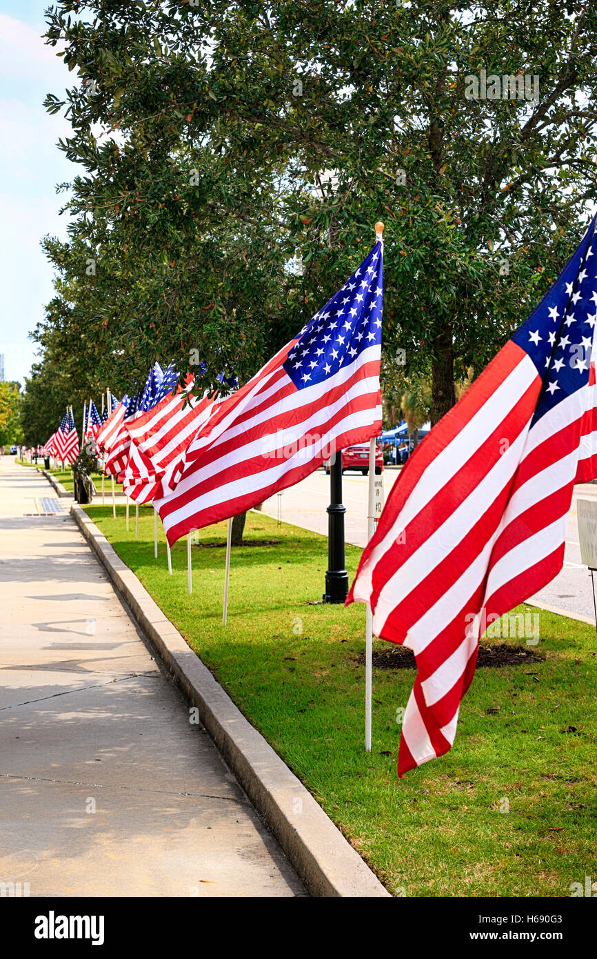 American flags line the streets around the Citadel in Charleston SC ...