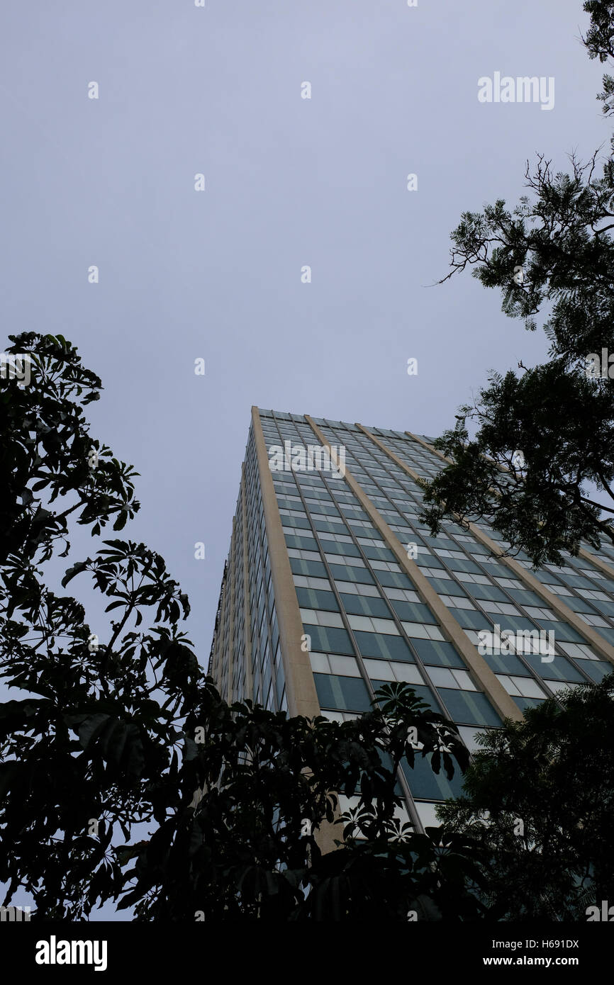 Trees framing a building in los angeles Stock Photo - Alamy