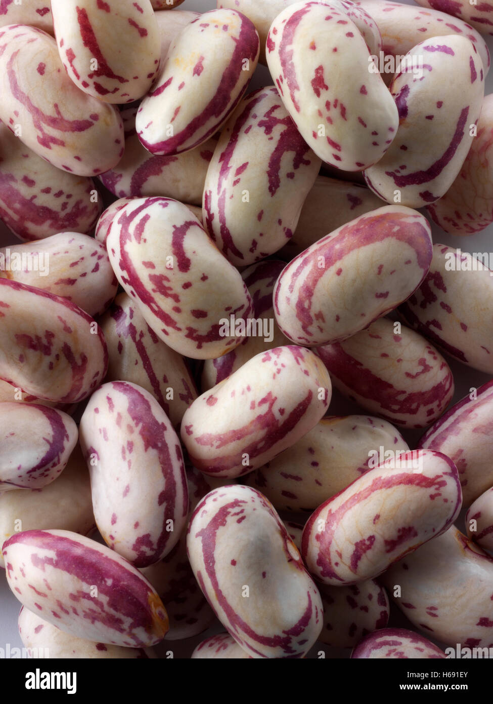 Saluggia bean hi-res stock photography and images - Alamy