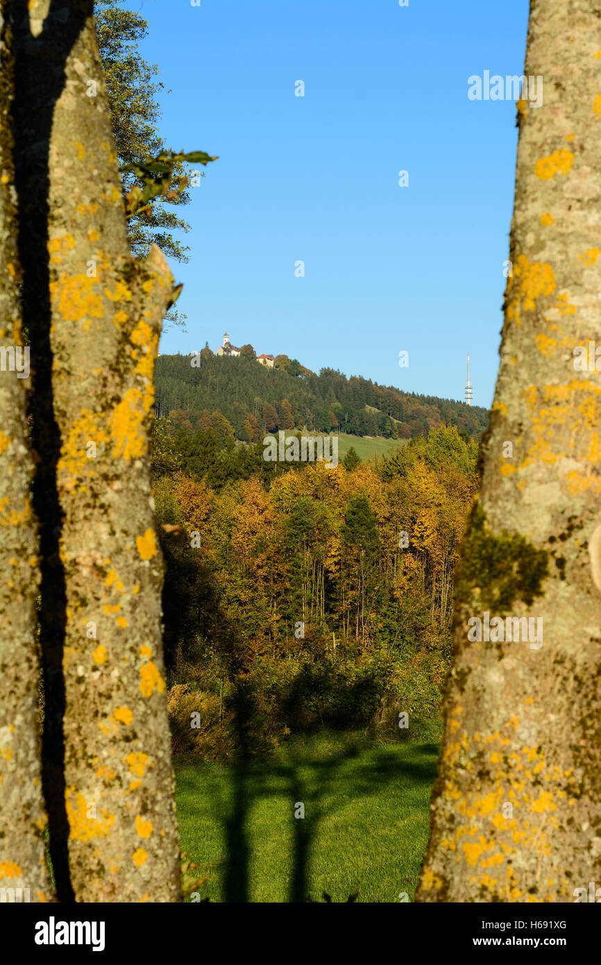 Hohenpeißenberg: mountain Hohenpeißenberg, trees, Oberbayern, Upper ...