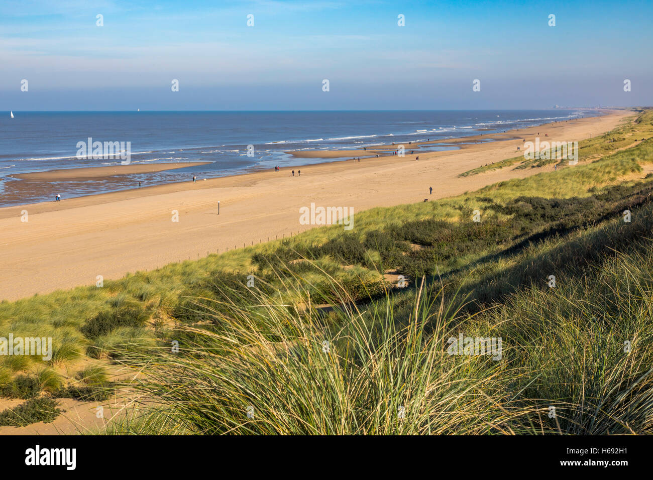 Scheveningen, The Hague, Netherlands, beach and dune landscape, view to ...