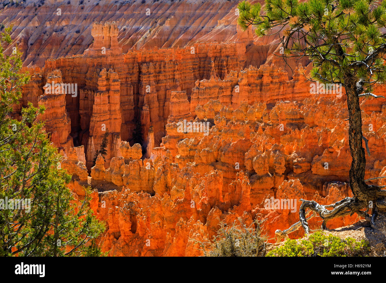 The sunlight causes glowing red rock formations as seen from the Sunset ...