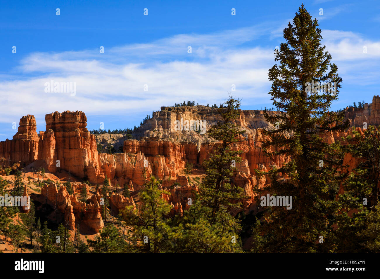 This is a view of the majestic red rock cliffs of Bryce Canyon National ...