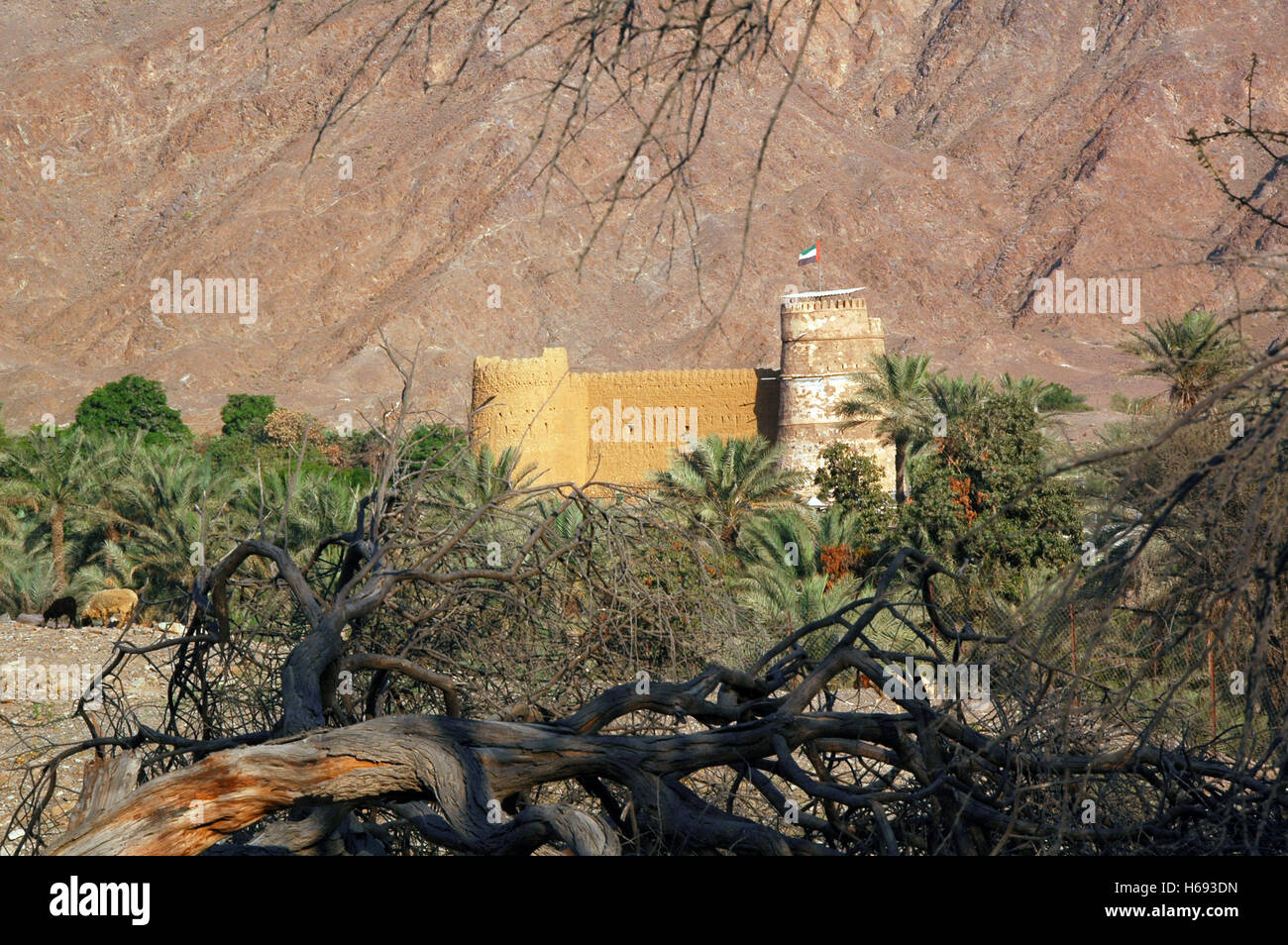 Al Bithna Fort, near Fujaira, Circa 1735 Stock Photo - Alamy
