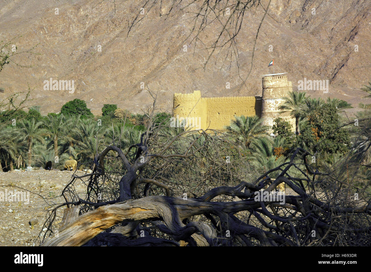 Al Bithna Fort, near Fujaira, Circa 1735 Stock Photo - Alamy