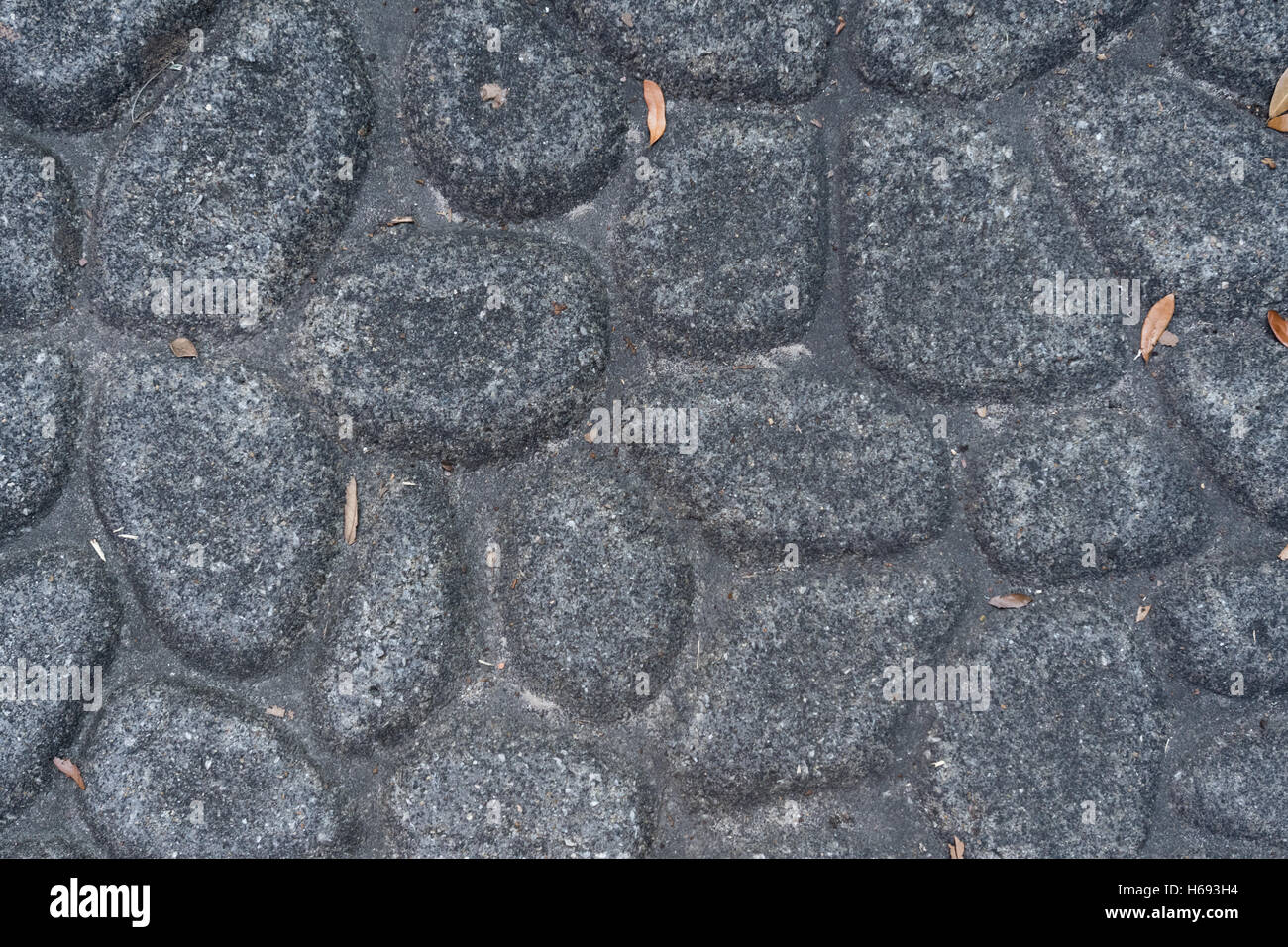 Looking Down at Cobble Stone Texture with fall leaves scattered Stock ...