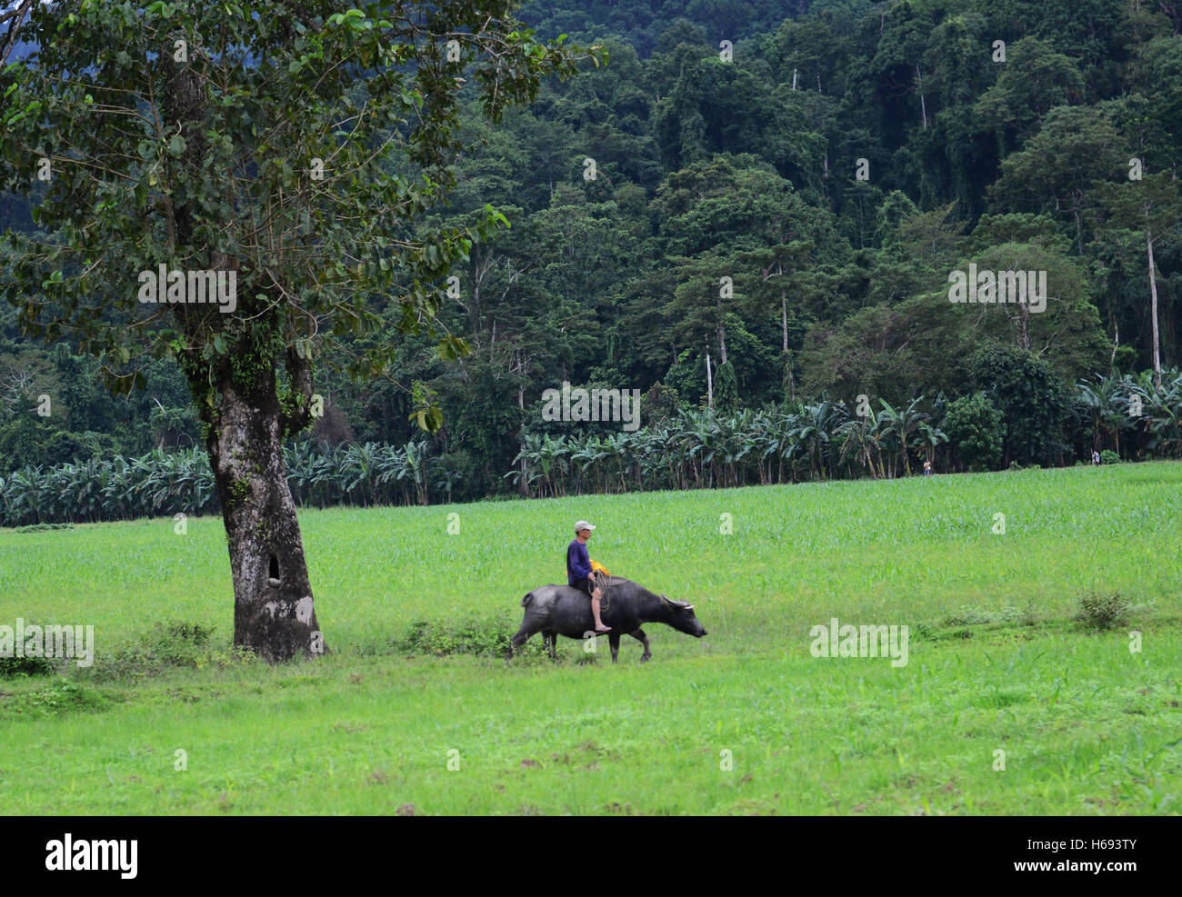 The Sablayan prison and Penal farm in Occidental Mindoro Stock Photo ...