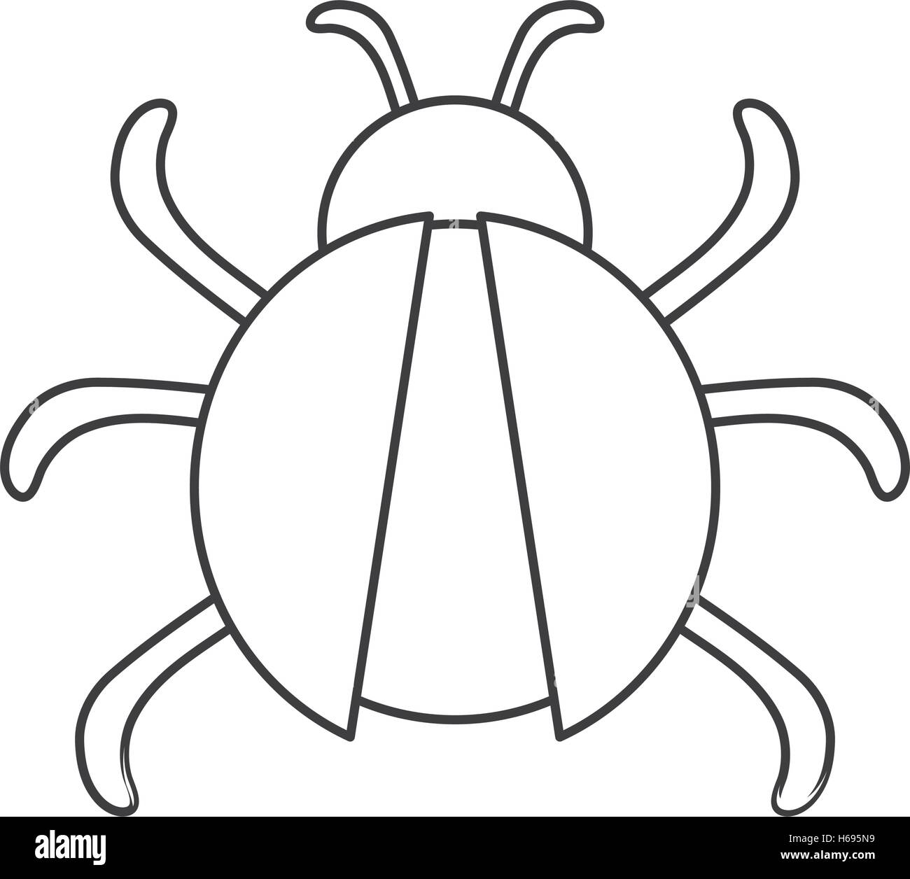 Isolated bug insect design Stock Vector Image & Art - Alamy