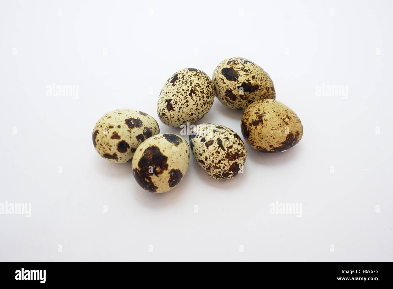 close up Quail egg on white background Stock Photo - Alamy