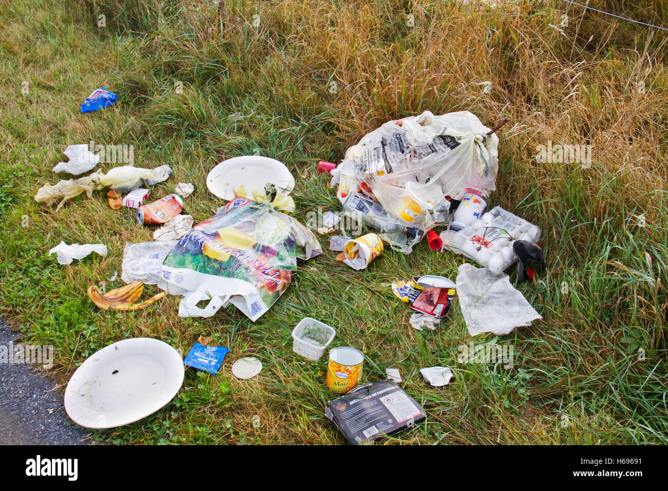 Disposable dishes and other litter dumped at the roadside Stock Photo ...