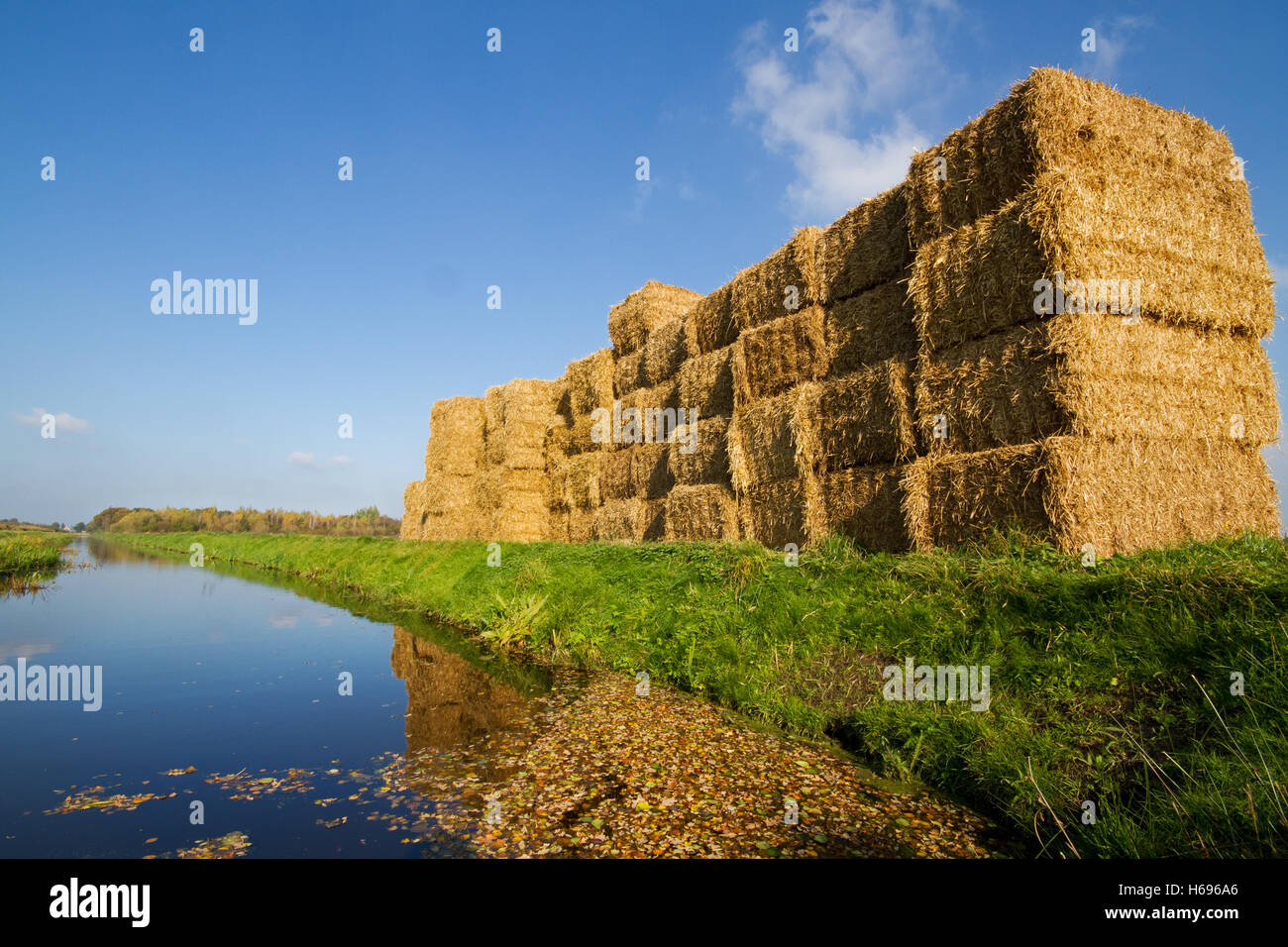 Stacked straw bales on the banks of a canal Stock Photo - Alamy
