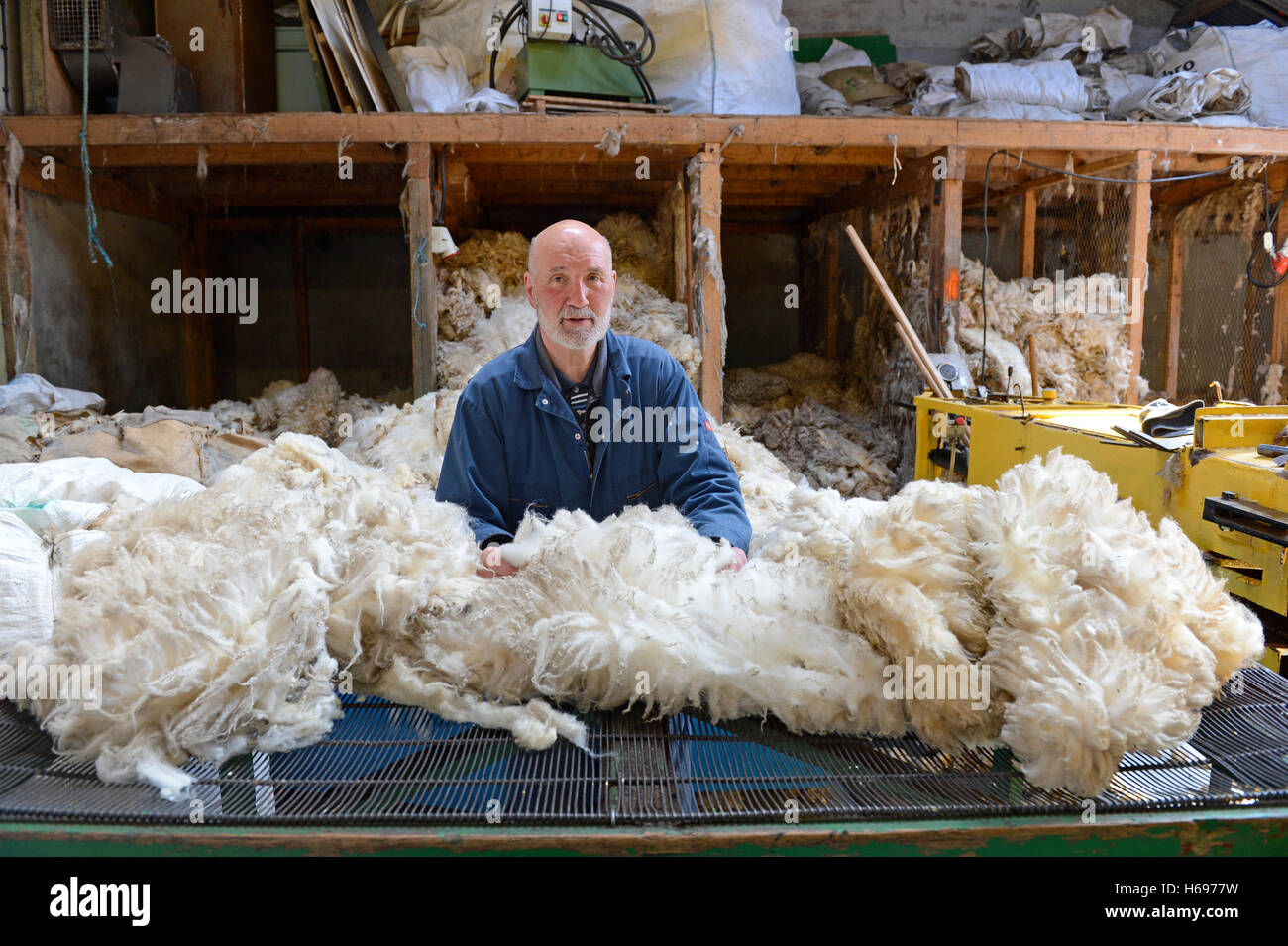 Shetland Knitting High Resolution Stock Photography and Images - Alamy