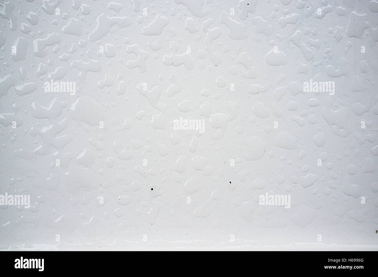 Water Drops on white background Stock Photo - Alamy