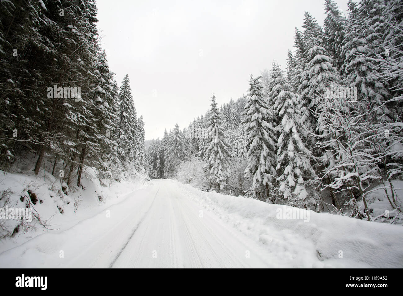 Snowy path in the mountains Stock Photo - Alamy