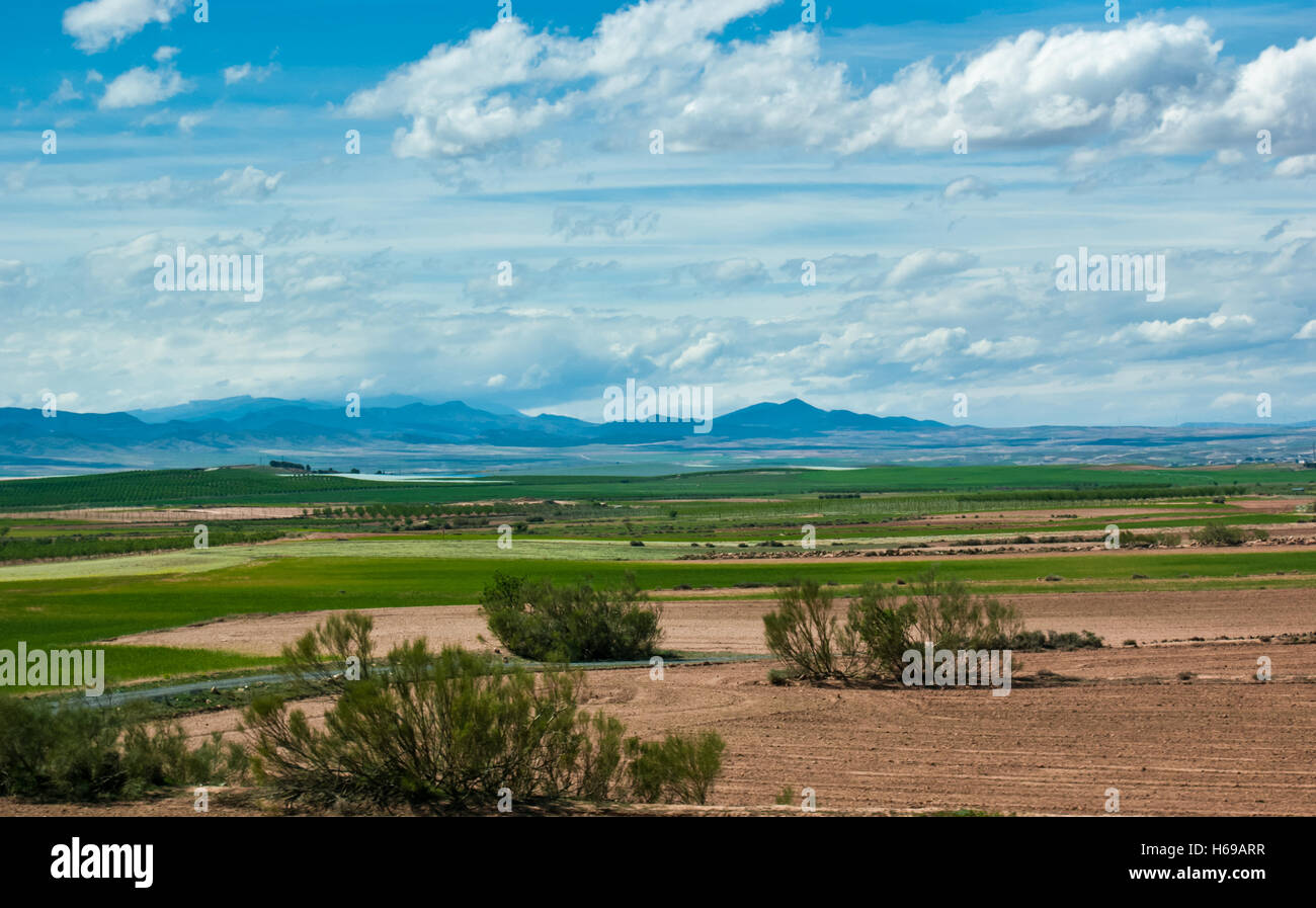 Green farmlands hi-res stock photography and images - Alamy